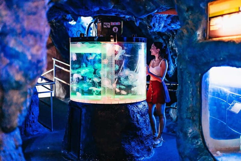 Barcelona Aquarium: Entry Ticket - What’s Inside: The Main Highlights