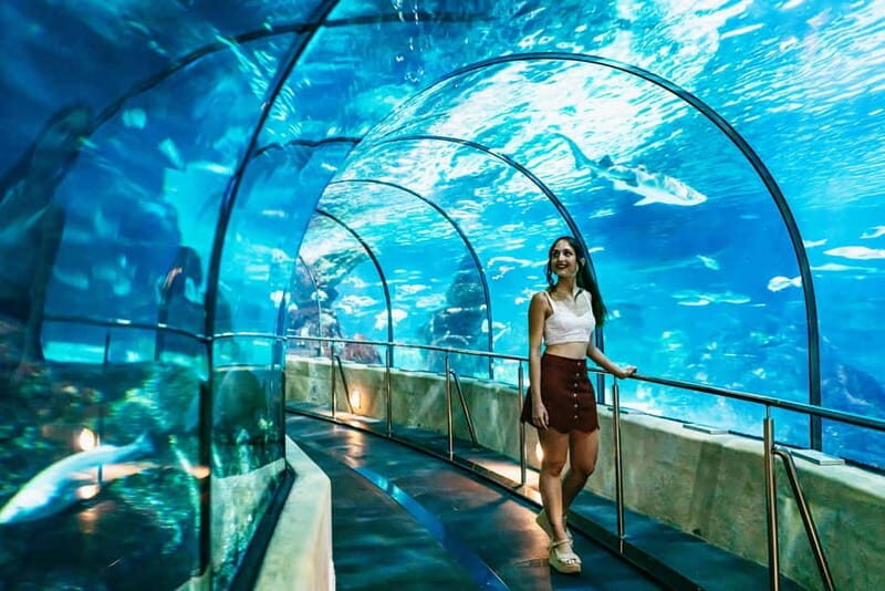 Barcelona Aquarium: Entry Ticket - Why the Barcelona Aquarium Is a Great Choice