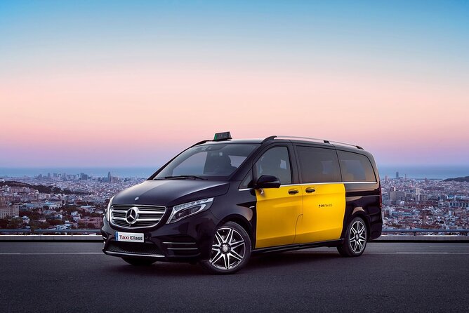 Barcelona Arrival Cruise Port to Airport private transfer - Who This Service Is Best For