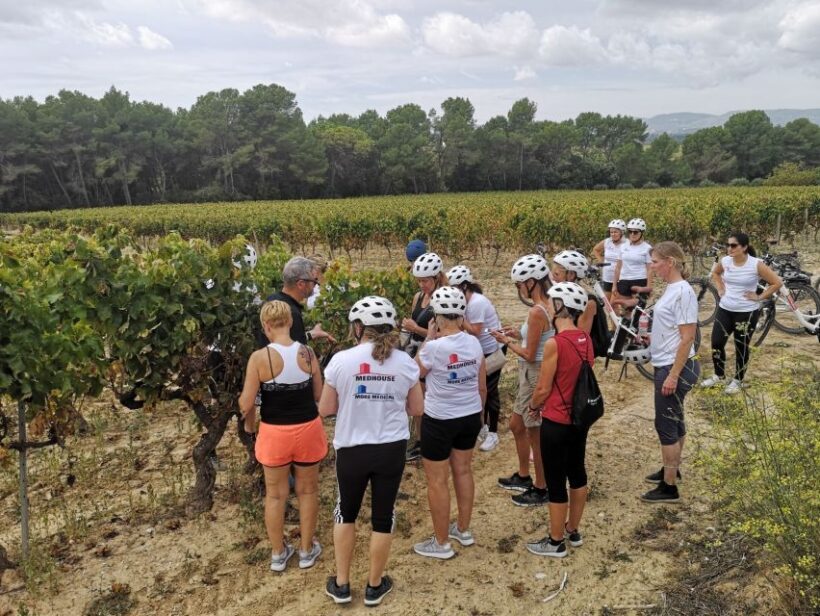 Barcelona: Bike & Wine Guided Tour - Penedès vineyards - Authentic experiences highlighted by travelers