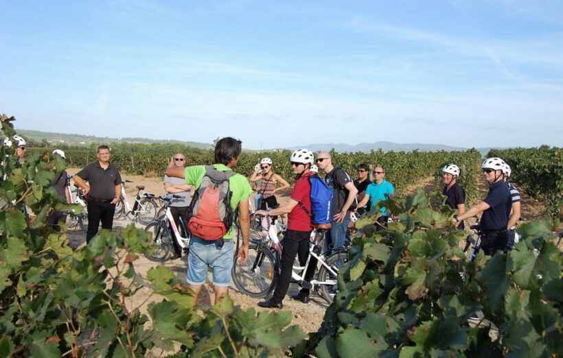 Barcelona: Bike & Wine Guided Tour - Penedès vineyards - Who is this tour best for?