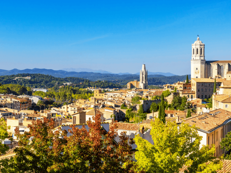 Barcelona: Carcassonne & Girona Tour - Key Points