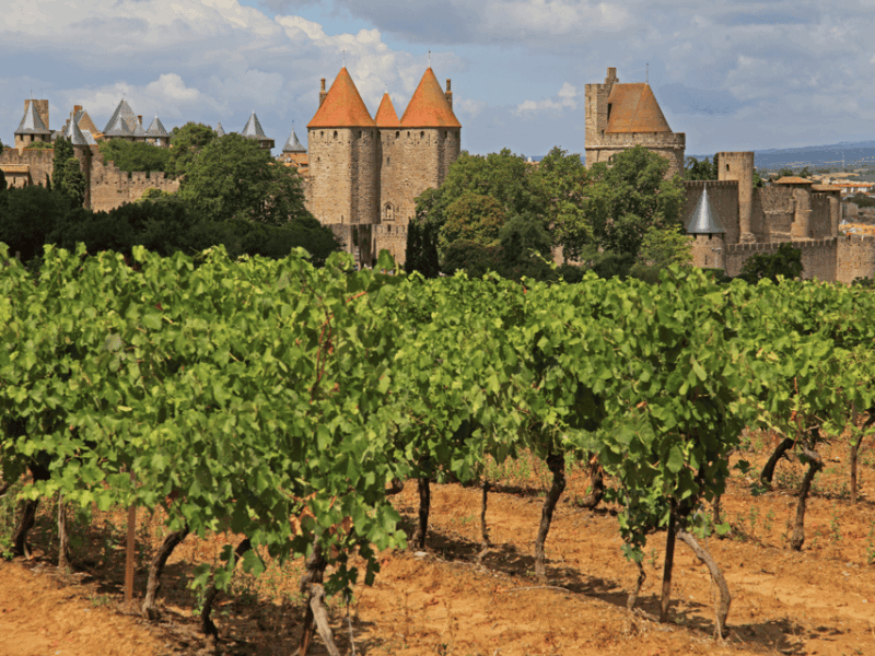 Barcelona: Carcassonne & Girona Tour - Who Should Consider This Tour?