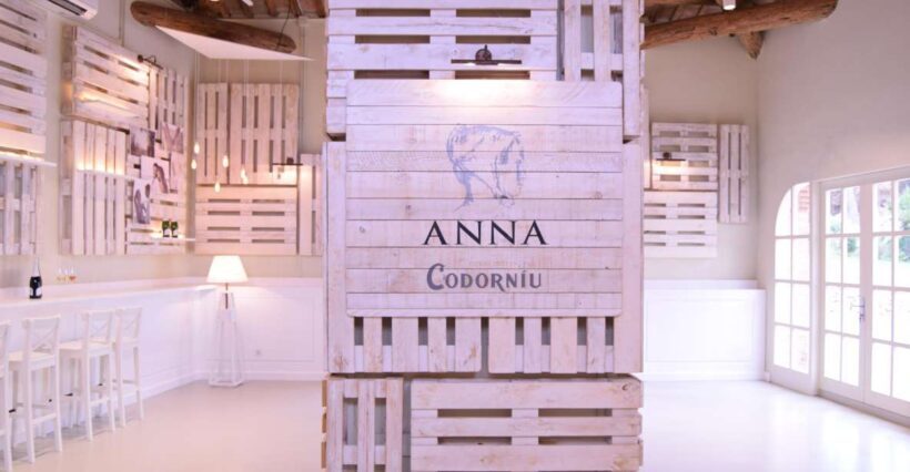 Barcelona: Casa Codorníu Guided Tour with Cava Tastings - Deep Underground: The Cellar Train Ride