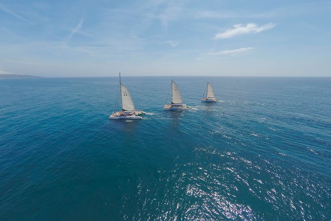 Barcelona Catamaran Party Tour For Young People - Swimming Activities