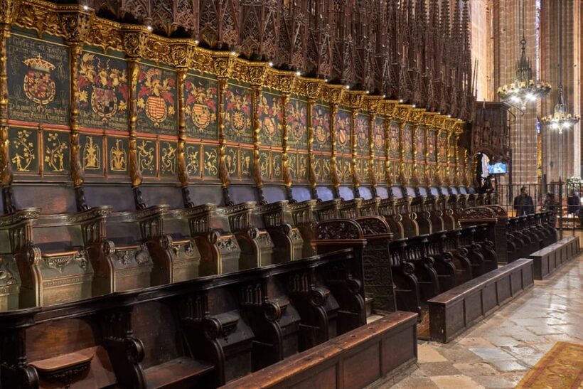 Barcelona: Cathedral of Barcelona Entry Ticket - A Close Look at the Cathedral Experience