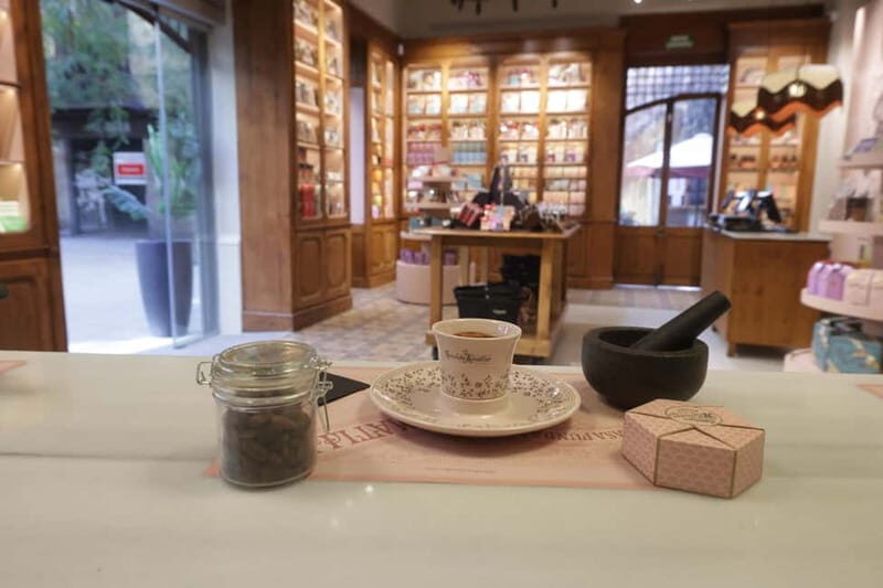 Barcelona & Chocolate Amatller History and Culture + Activity and Tasting - Practical Details and Considerations