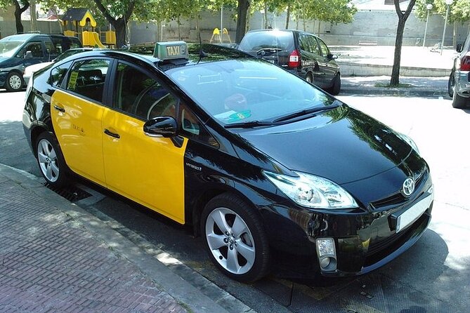 Barcelona City, Hotel to Airport, Cruise Port Private Transfer - Accessibility and Age Restrictions