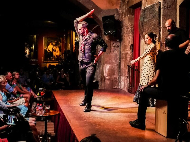 Barcelona: City Tour & Flamenco Show with Wine & Tapas - Practical Details