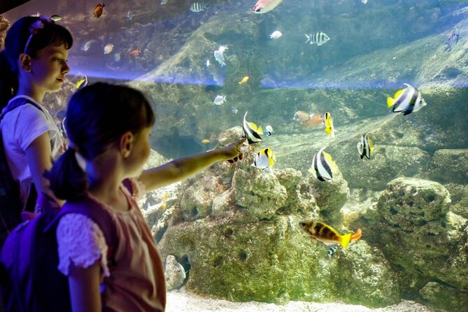 Barcelona City Tour Hop-On Hop-Off and Aquarium - FAQs About the Barcelona Hop-On Hop-Off and Aquarium Tour