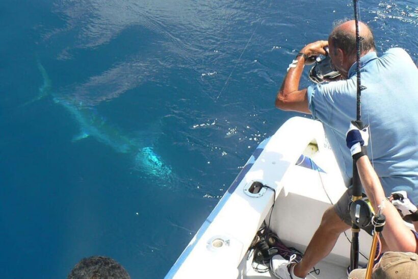 Barcelona: Coastal Fishing Trip - The Experience’s Value