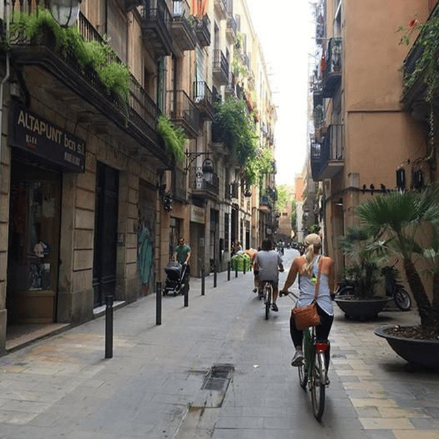 Barcelona: Customized Bike Tour of Cultural Highlights - The Sum Up