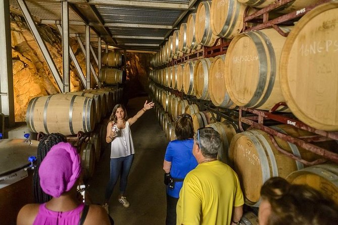 Barcelona Ebike Beach Private Tour to Vineyards & Picnic - Picnic Experience