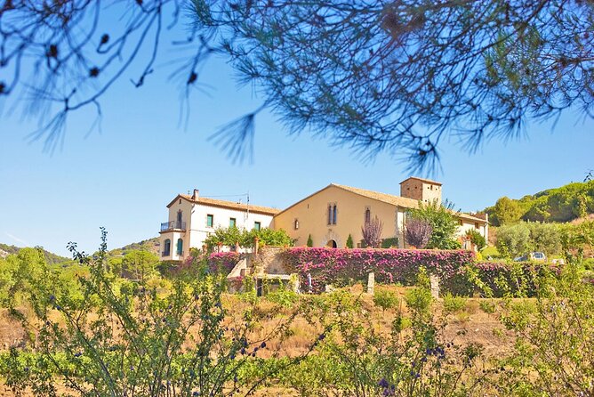 Barcelona Ebike Beach Private Tour to Vineyards & Picnic - Customer Feedback Insights