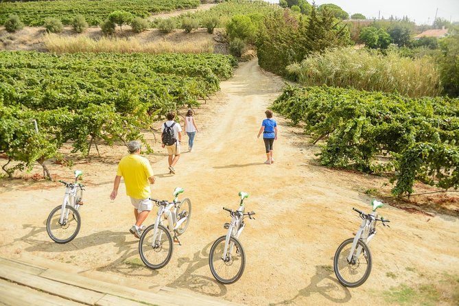 Barcelona Ebike Beach Private Tour to Vineyards & Picnic - Booking and Planning Tips