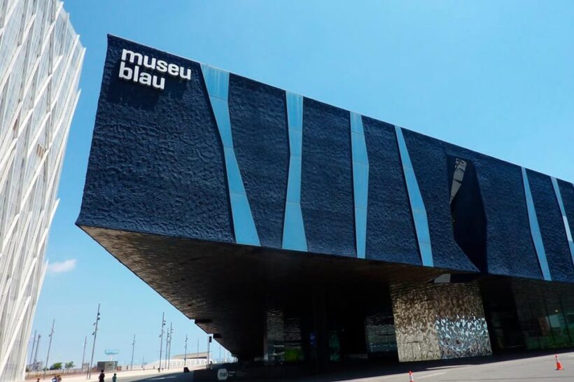 Barcelona: Electric scooter tour along the promenade and parks - An In-Depth Look at the Barcelona Electric Scooter Tour