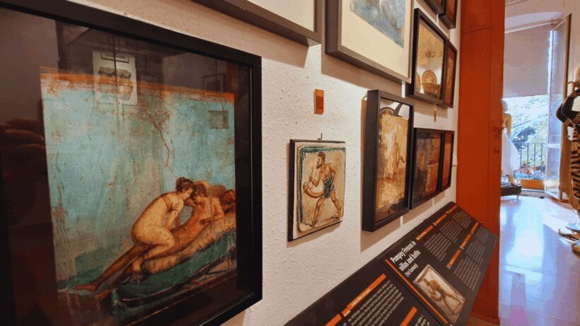Barcelona: Entry Ticket for Erotic Museum - Who Should Visit?