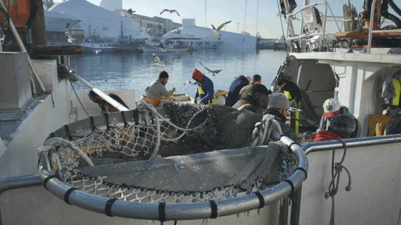 Barcelona Fishermen's Guild Guided Tour - Exploring the Barcelona Fishermens Guild Guided Tour