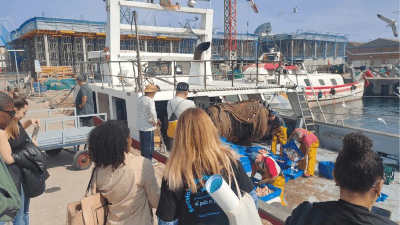 Barcelona Fishermen's Guild Guided Tour - Who Should Consider This Tour?
