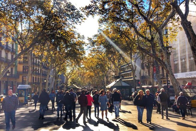 Barcelona Food Tour: Market & Gothic Quarter With Expert Guide - Practical Details: Pricing, Group Size, and Tour Conditions