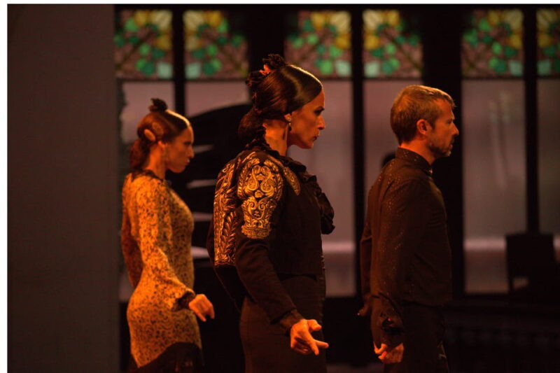 Barcelona: Gran Gala Flamenco Show Entry Ticket - Who Should Book This Flamenco Show?
