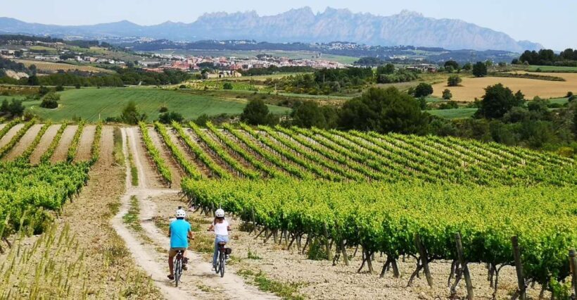 Barcelona: Guided Half-Day Wine and Electric Bike Tour - A Guided Half-Day Wine and Electric Bike Tour in Penedés: An Authentic Taste of Catalonia