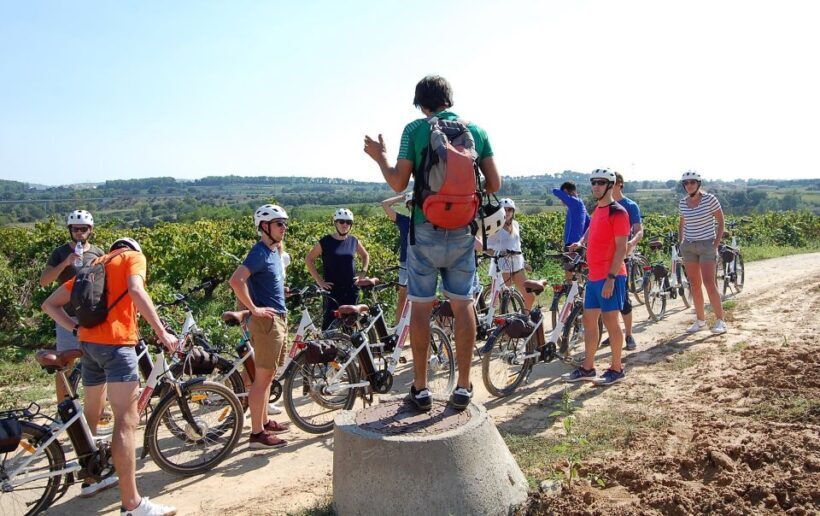 Barcelona: Guided Half-Day Wine and Electric Bike Tour - Why You Should Consider This Tour