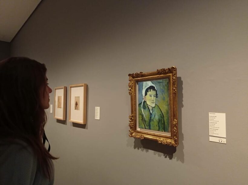 Barcelona: Guided Tour of the Picasso Museum with Tickets - Who Will Enjoy This Tour Most?