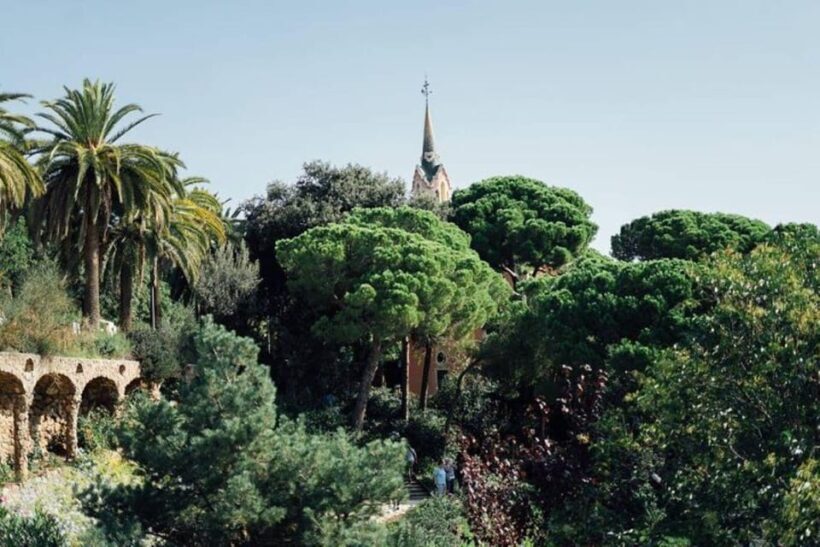 Barcelona: Half-Day Private Tour with Driver - Authenticity and Reviews: What Travelers Say