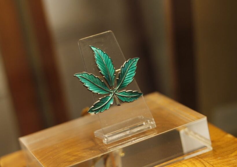 Barcelona: Hash Marihuana & Hemp Museum Entry Ticket - Who Should Visit?