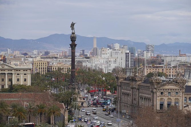 Barcelona Highlights Private Tour With Driver and Official Guide - Customer Feedback