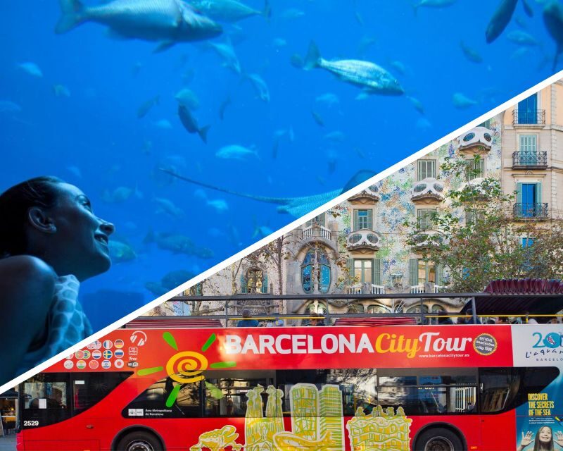 Barcelona: Hop-On Hop-Off Bus & Aquarium Tour - The Experience in Detail