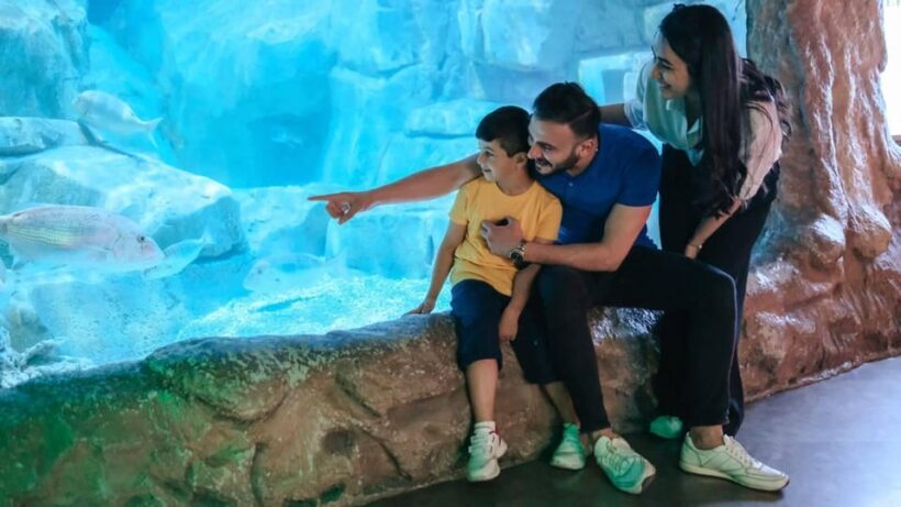 Barcelona: Hop-On Hop-Off Bus & Aquarium Tour - FAQs about the Barcelona Hop-On Hop-Off Bus & Aquarium Tour