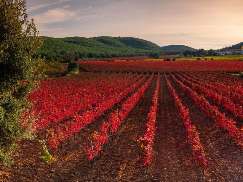 Barcelona: Luxury Tour, 4X4 Off-Road, Lunch & Wines at Penedes - Key Points