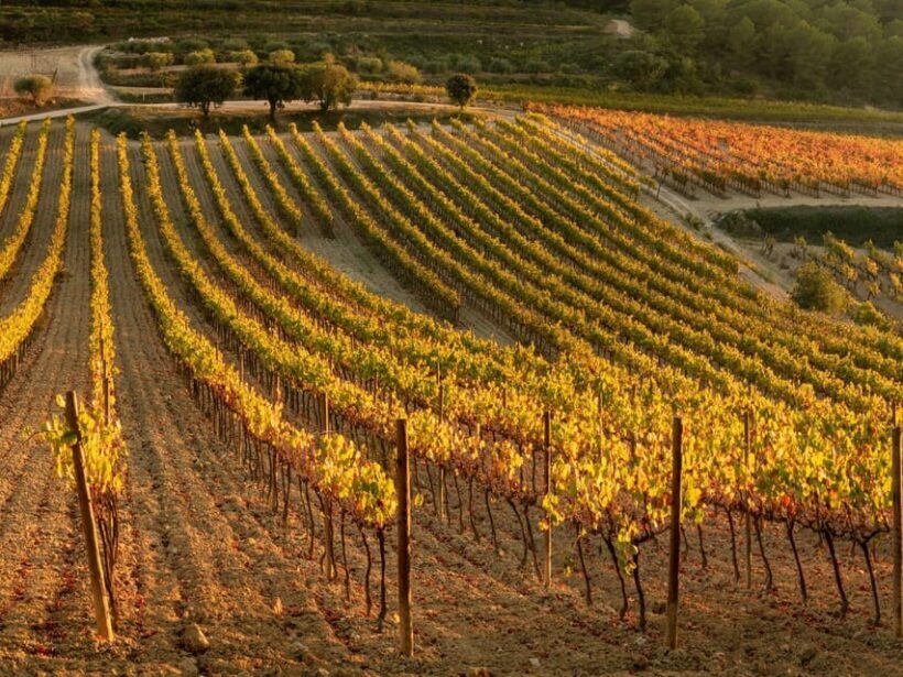 Barcelona: Luxury Tour, 4X4 Off-Road, Lunch & Wines at Penedes - Final Thoughts: Who Should Consider This Tour?