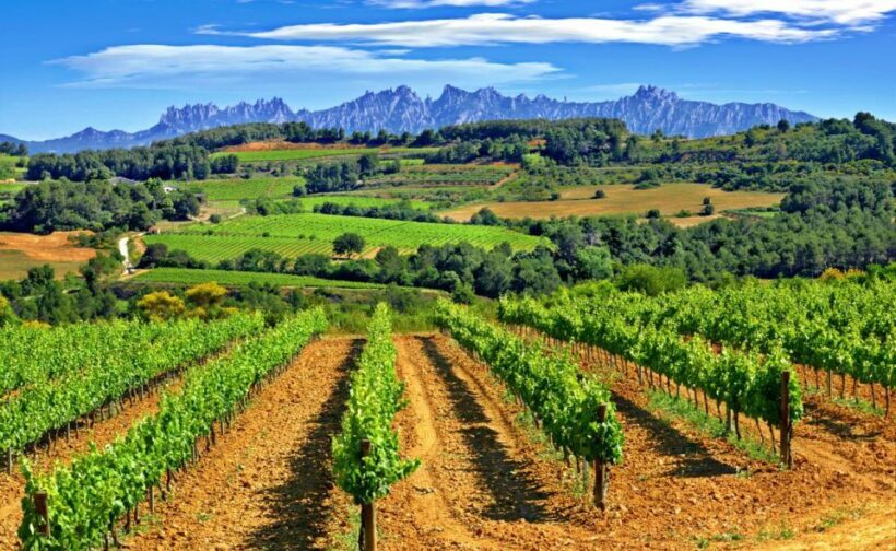 Barcelona: Montserrtat Hike and Winery Tour with Tasting - Introduction