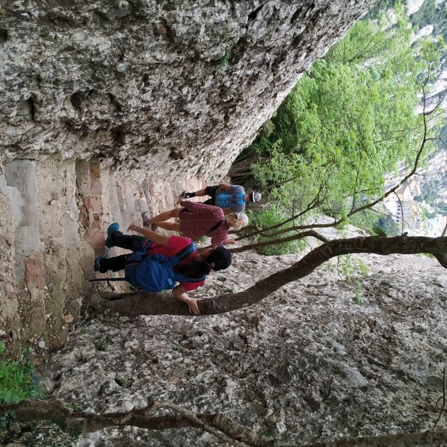 Barcelona: Montserrtat Hike and Winery Tour with Tasting - Practical Details and Value