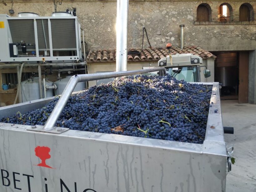Barcelona: Montserrtat Hike and Winery Tour with Tasting - Who Is This Tour Best For?