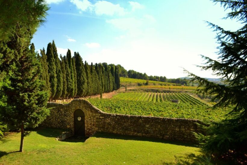 Barcelona: Montserrtat Hike and Winery Tour with Tasting - The Sum Up