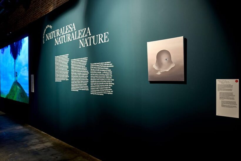 Barcelona: Museum NOU / SUR PLAY Exhibition Ticket - FAQ