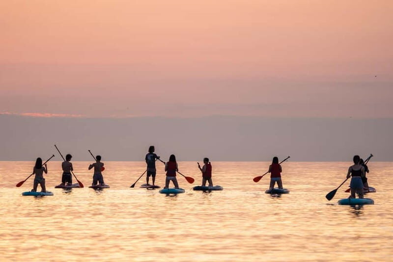 Barcelona: Paddlesurf Rental Barceloneta beach (75min) - Key Points