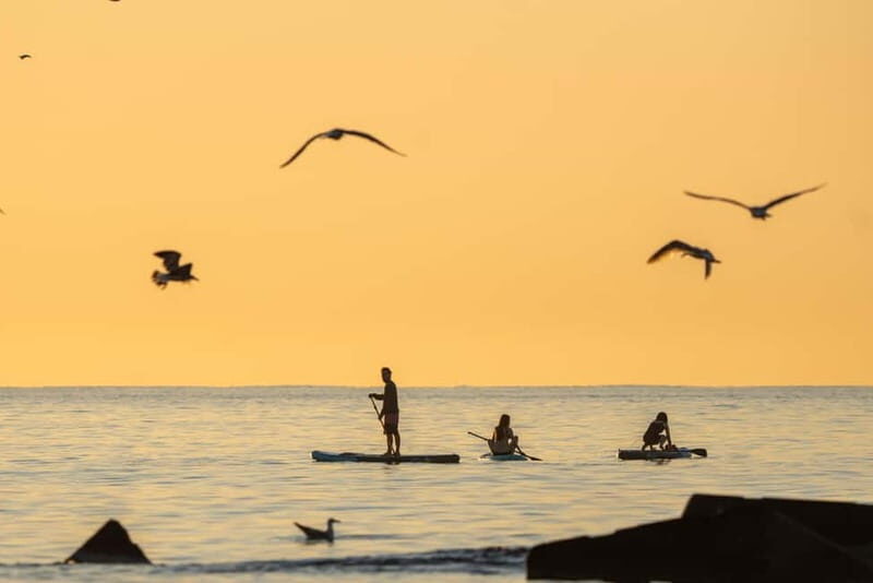 Barcelona: Paddlesurf Rental Barceloneta beach (75min) - Final Thoughts: Who Should Consider This Paddleboarding Rental