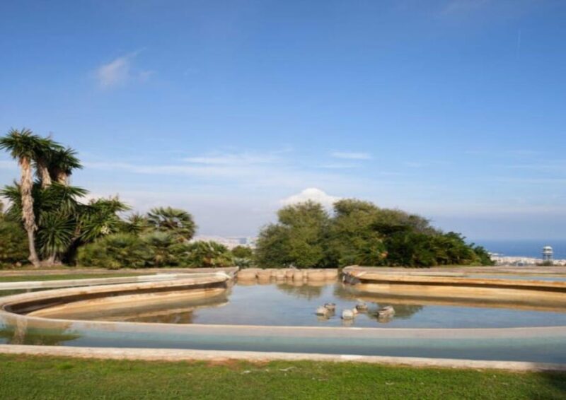 Barcelona: Panoramic Tour by car - What to Expect and Why It Matters