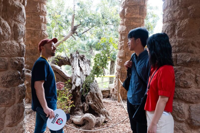 Barcelona: Park Güell Guided Tour with Fast-Track Access - Authentic Experiences: What Travelers Are Saying