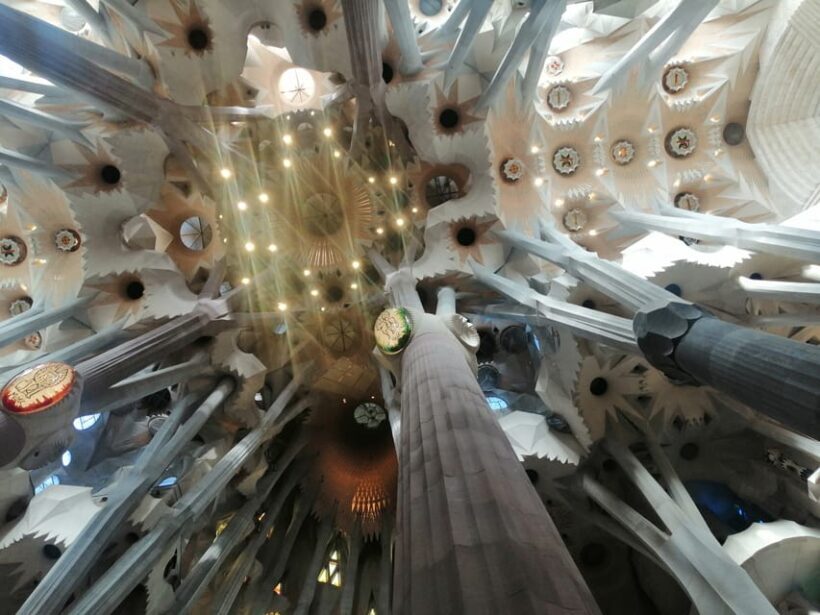Barcelona: Park Güell Skip-the-Line Guided Tour - In The Sum Up: Is This Tour Worth It?