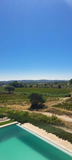 Barcelona: Penedès Vineyard Horseback Ride with Wine Tasting - The Breakdown: Why This Tour Works