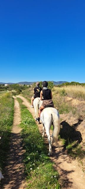 Barcelona: Penedès Vineyard Horseback Ride with Wine Tasting - Who Should Consider This Tour?