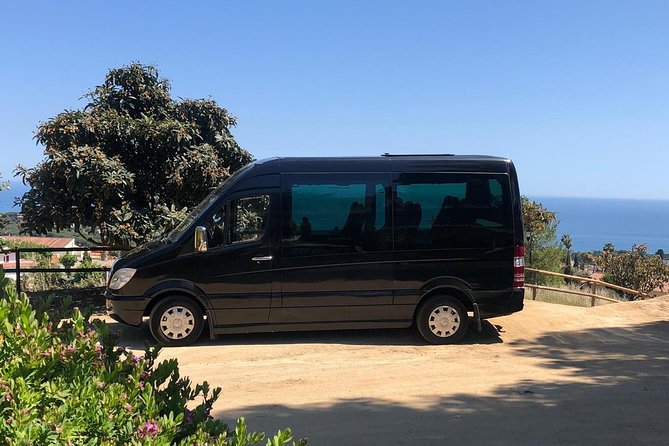 Barcelona Private City Tour (1 to 16 passengers) - What Travelers Are Saying