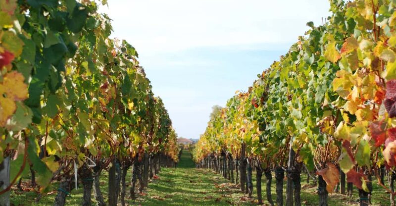 Barcelona: Private E-Bike Tour and Wine Tasting - Analyzing the Value