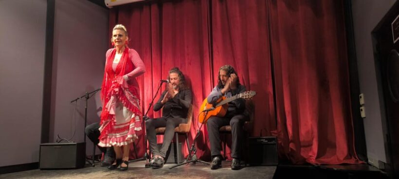 Barcelona: Private Gothic Quarter Tour with Flamenco Show - An In-Depth Look at the Experience